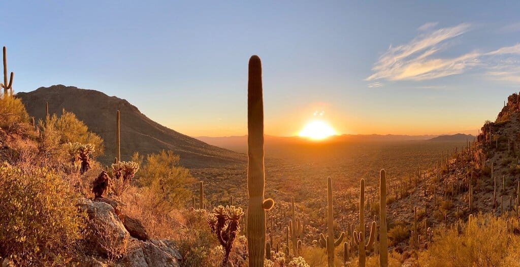 A Simple Guide to Saguaro National Park West