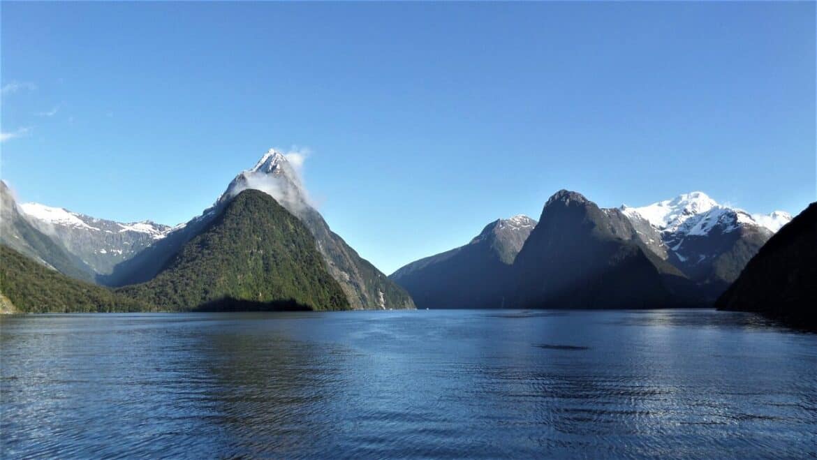 How to Plan the Perfect Milford Sound Day Trip