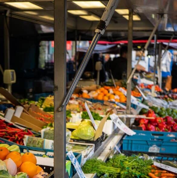 23 Pros and Cons of Living in Groningen as an Expat - Around The World ...